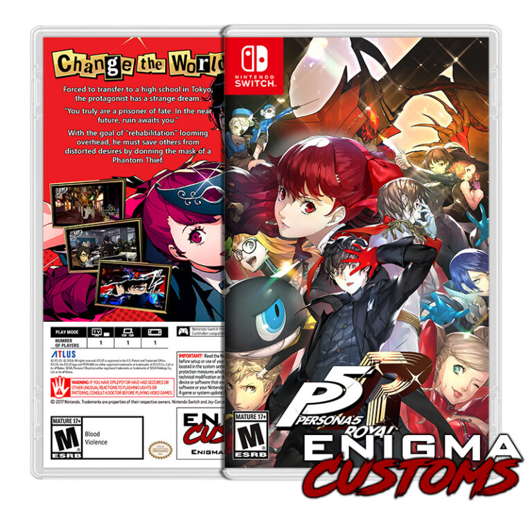 Enigma Customs - Custom Covers for Systems Modern & Retro